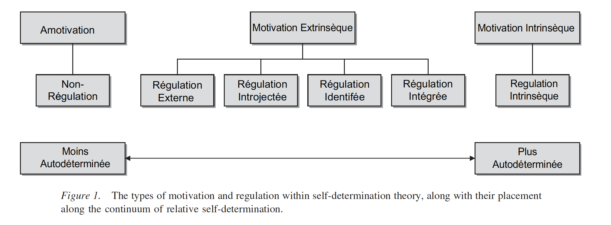 Types of Motivation